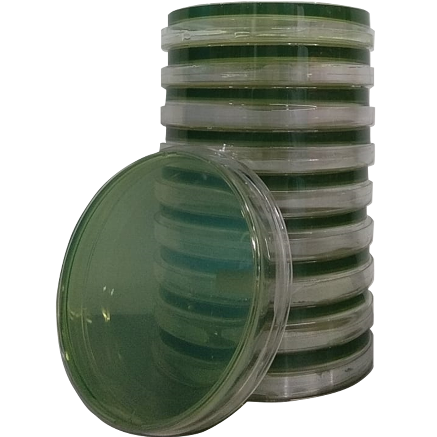 TCBS AGAR | Agarindo Biological Company