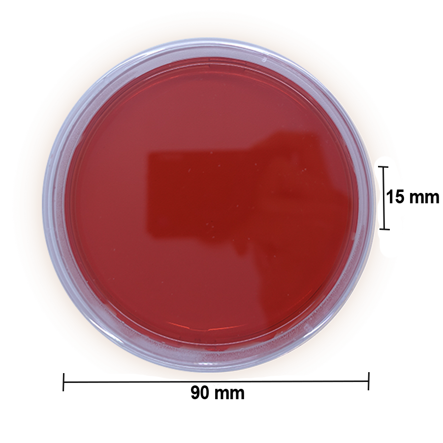XLD AGAR (XYLOSE LYSINE DESOXYCHOLATE AGAR) | Agarindo Biological Company