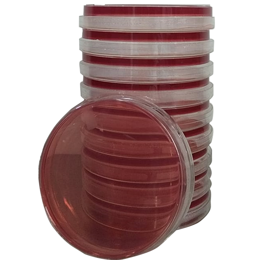 XLD AGAR (XYLOSE LYSINE DESOXYCHOLATE AGAR) | Agarindo Biological Company