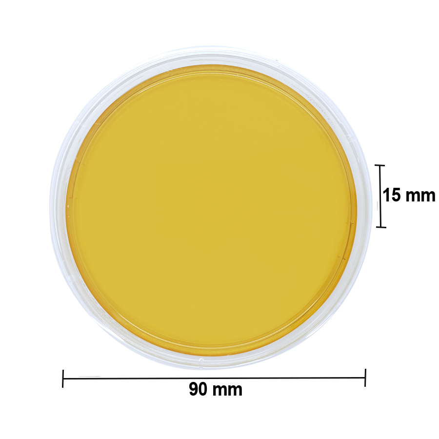 POTATO DEXTROSE AGAR | Agarindo Biological Company